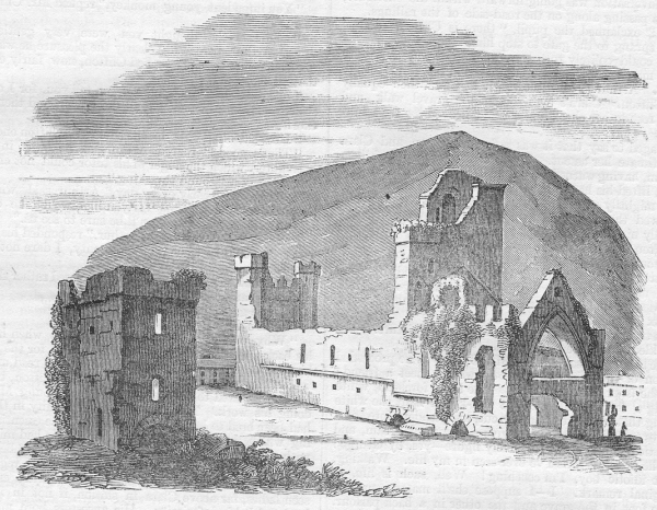 Carlingford Abbey, County Louth