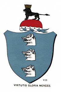 Healy Family - A Genealogical History of Irish Families