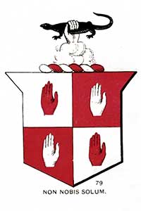 Flynn Family - A Genealogical History of Irish Families