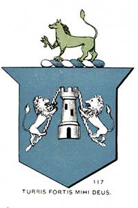 McNeny Family - A Genealogical History of Irish Families