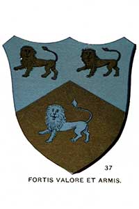 Catlin Family - A Genealogical History of Irish Families