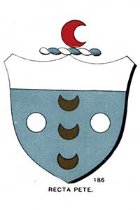 Doolan Family - A Genealogical History of Irish Families